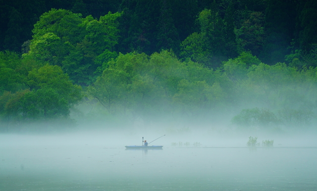 靄の中 by K.T.50 （ID：12992506） - 写真共有サイト:PHOTOHITO