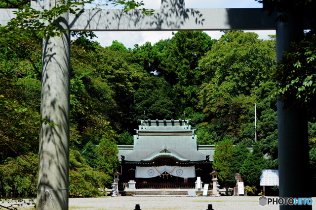 蝉しぐれが鳴り響く by K.T.50 （ID：12589679） - 写真共有サイト:PHOTOHITO