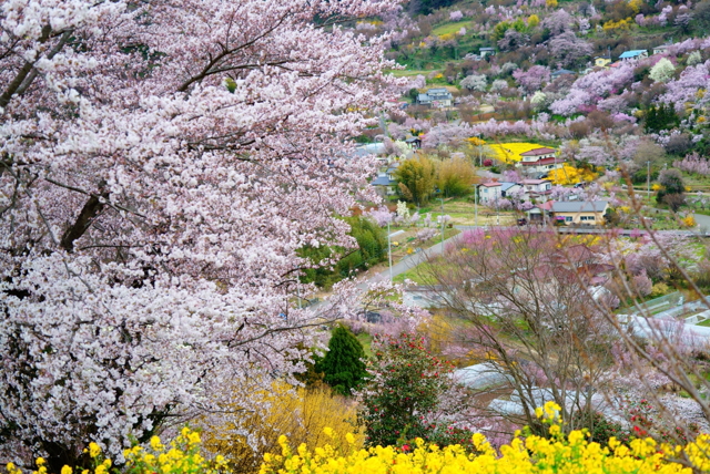 景色 by K.T.50 （ID：12919518） - 写真共有サイト:PHOTOHITO