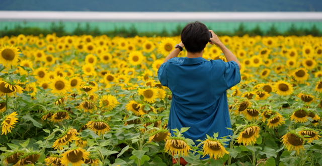 撮るを撮る by K.T.50 （ID：12543318） - 写真共有サイト:PHOTOHITO