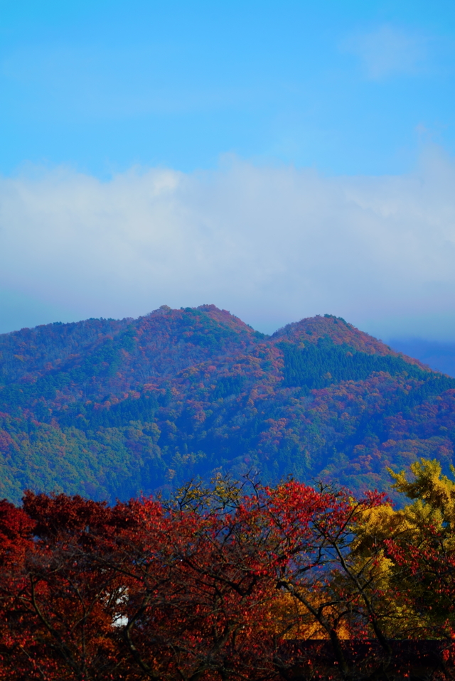 秋霞 by K.T.50 （ID：12718114） - 写真共有サイト:PHOTOHITO