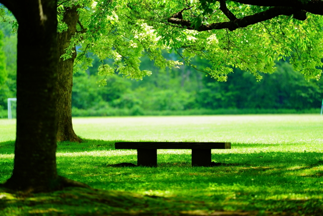 木陰 by K.T.50 （ID：13018838） - 写真共有サイト:PHOTOHITO