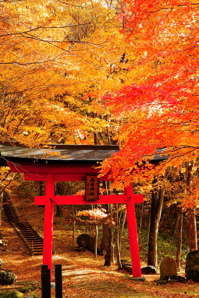 紅葉も終盤 by K.T.50 （ID：12718111） - 写真共有サイト:PHOTOHITO