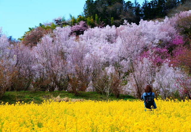 たたずむ by K.T.50 （ID：12919529） - 写真共有サイト:PHOTOHITO