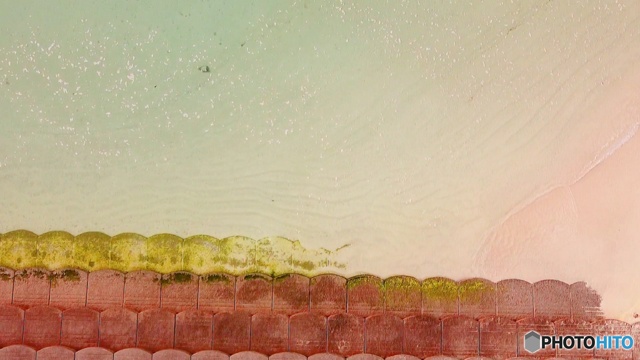 透明感 by K.T.50 （ID：12349724） - 写真共有サイト:PHOTOHITO