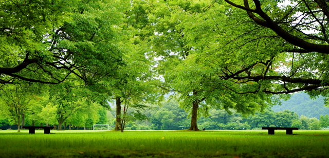 誰もいない by K.T.50 （ID：12528865） - 写真共有サイト:PHOTOHITO