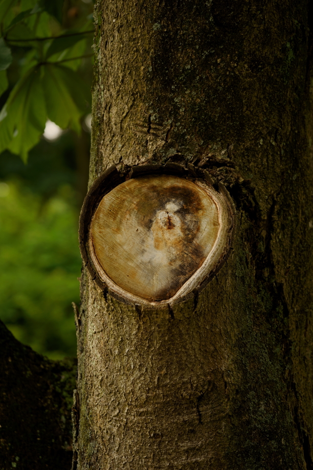 おわかりいただけたでしょうか by K.T.50 （ID：12522203） - 写真共有サイト:PHOTOHITO