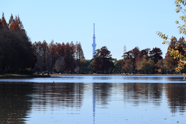 IMG_4020 by K/3 （ID：12145150） - 写真共有サイト:PHOTOHITO