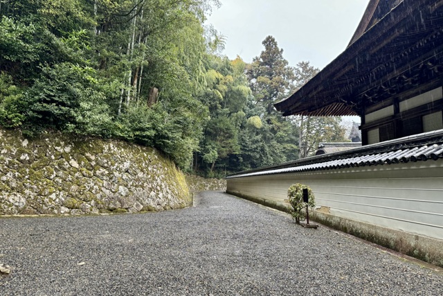 20240317東山区14 by AzusaAkiyama （ID：12560979） - 写真共有サイト:PHOTOHITO