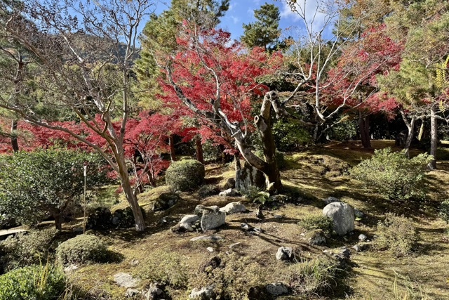 20241129右京区19 by AzusaAkiyama （ID：12731601） - 写真共有サイト:PHOTOHITO