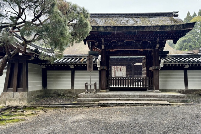 20240317東山区05 by AzusaAkiyama （ID：12560876） - 写真共有サイト:PHOTOHITO