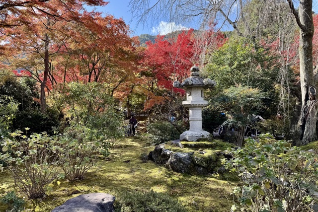 20241129右京区20 by AzusaAkiyama （ID：12731608） - 写真共有サイト:PHOTOHITO