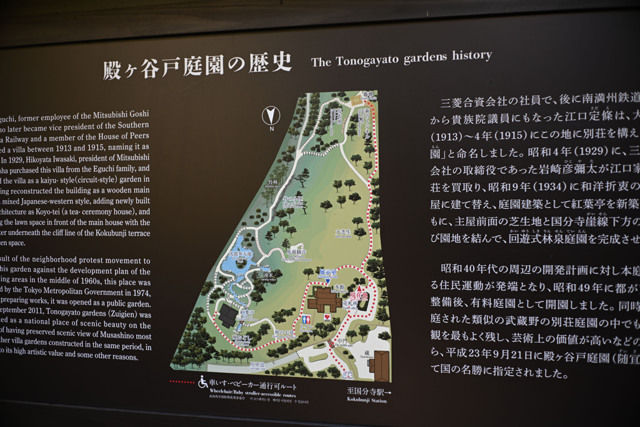 Z8A_0255 by 見上げれば空 （ID：12747994） - 写真共有サイト:PHOTOHITO