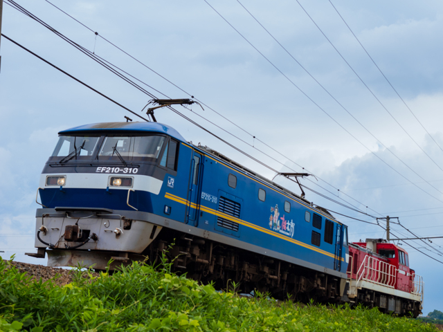 今日のサメ ＃4 代走EF210-310 by TRANS JAPAN （ID：12513747） - 写真共有サイト:PHOTOHITO