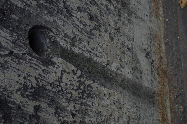 だぁ by ハシゴ だんダン （ID：12351810） - 写真共有サイト:PHOTOHITO