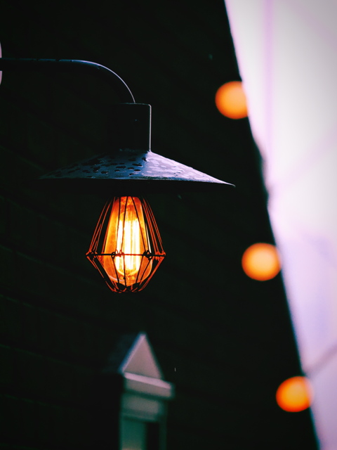 LIGHT by 馬と鹿さん （ID：12559949） - 写真共有サイト:PHOTOHITO