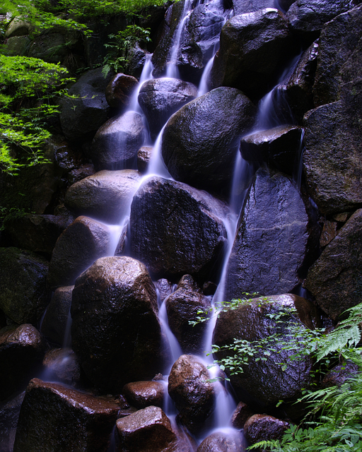 初☆NDフィルター by Iron Johnny （ID：1362718） - 写真共有サイト:PHOTOHITO