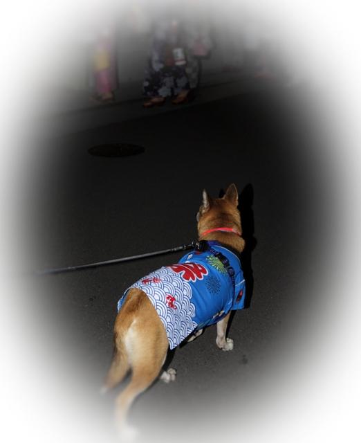 祭りのあと、夢のあと by GALSON 植村 （ID：1323420） - 写真共有サイト:PHOTOHITO