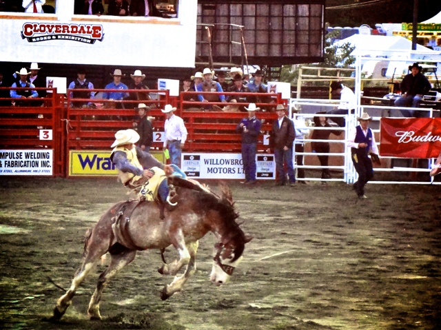 Yee haw!#2 by sotomo （ID：597836） - 写真共有サイト:PHOTOHITO