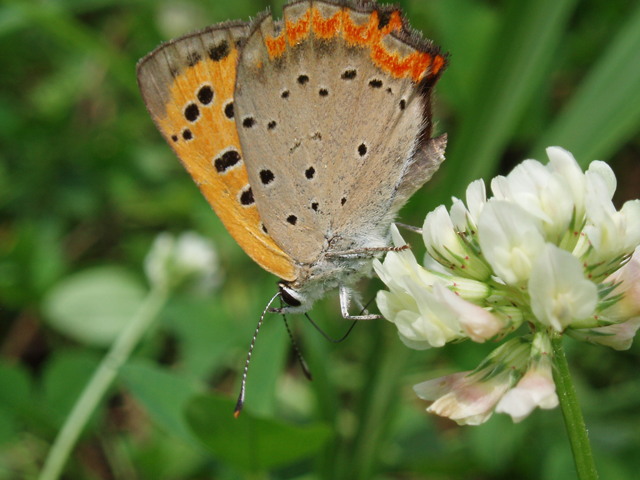 考える by Grandiy （ID：661486） - 写真共有サイト:PHOTOHITO