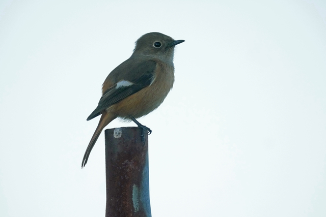 8840m by TX88A+α02 （ID：12702633） - 写真共有サイト:PHOTOHITO