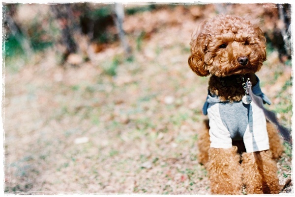 目線の先は・・・？ by lottam （ID：1094191） - 写真共有サイト:PHOTOHITO