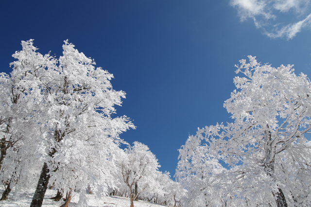 かぎりなく白く by ibex （ID：2356128） - 写真共有サイト:PHOTOHITO