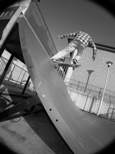 Tail tap by F.T.P.G. （ID：1462453） - 写真共有サイト:PHOTOHITO