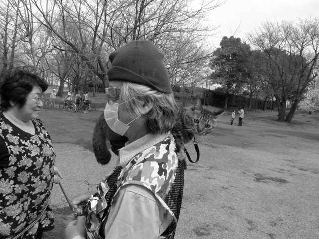 肩の猫 by watayan55 （ID：2425775） - 写真共有サイト:PHOTOHITO