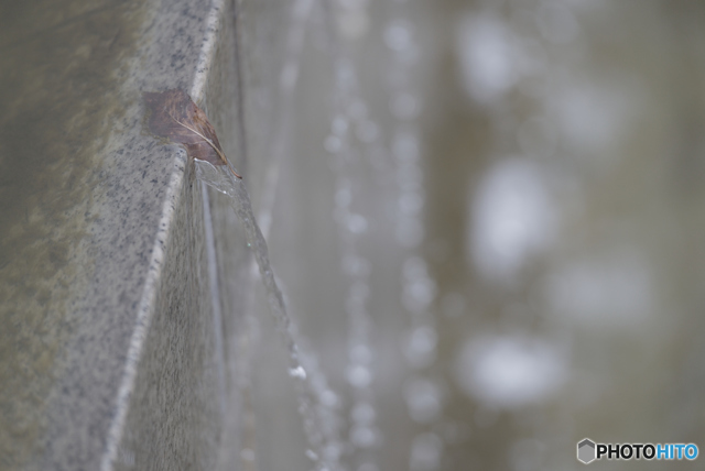 新陳代謝 by ultra-so-nic （ID：5405868） - 写真共有サイト:PHOTOHITO