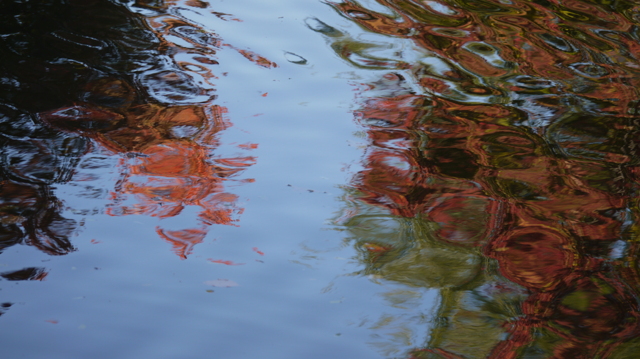 水紅葉 by Ezo Fukuroh （ID：2162267） - 写真共有サイト:PHOTOHITO