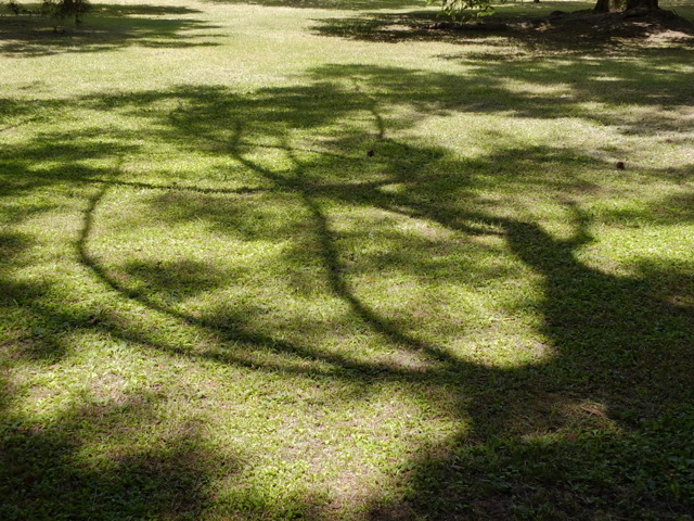 useing xs1 by ばんしゅうAko （ID：1990630） - 写真共有サイト:PHOTOHITO