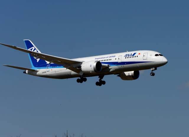 ANA 787-8 着陸 by x191300cc （ID：4384581） - 写真共有サイト:PHOTOHITO