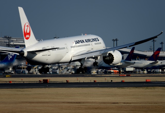 到着 JAL 787-8 by x191300cc （ID：4410269） - 写真共有サイト:PHOTOHITO