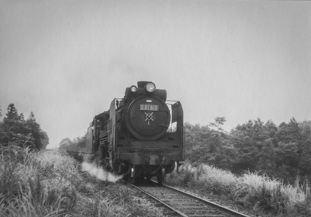 D51 515 昭和40年代初頭の勇姿 by belokamensky （ID：2297295） - 写真共有サイト:PHOTOHITO