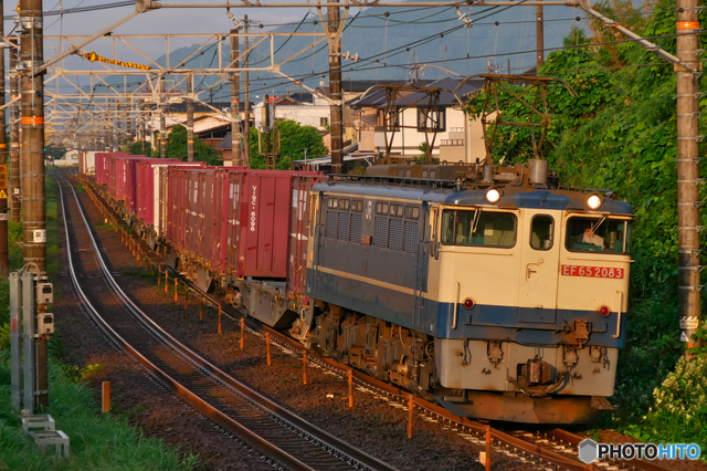 EF65カモレ by ysan （ID：11168298） - 写真共有サイト:PHOTOHITO