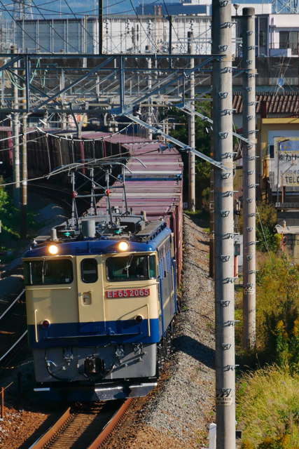 EF65-2065 by ysan （ID：7226180） - 写真共有サイト:PHOTOHITO