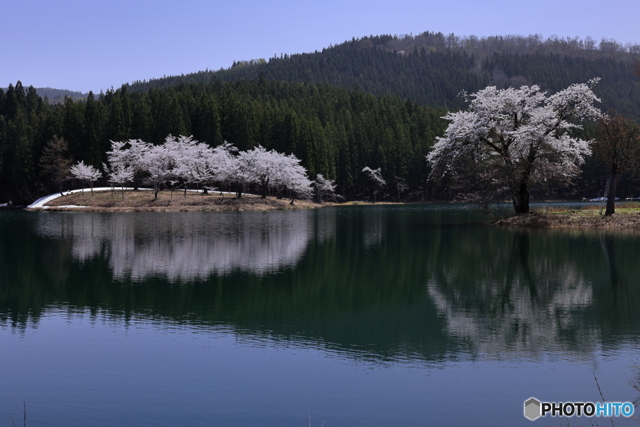 中子 20230413_2 by MONKICHI （ID：11712351） - 写真共有サイト:PHOTOHITO