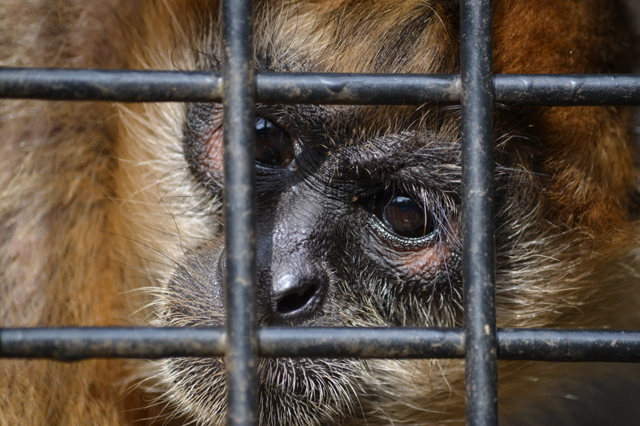 自由 by ATHYMIL （ID：2257321） - 写真共有サイト:PHOTOHITO