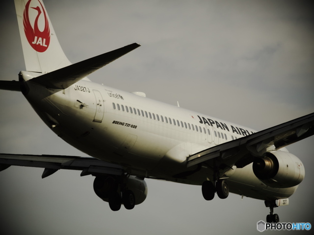 JAL B737-800 by おじぴん3号 （ID：9124608） - 写真共有サイト:PHOTOHITO