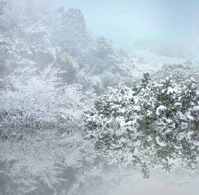 九郎判官に捧ぐ by impressions （ID：3140304） - 写真共有サイト:PHOTOHITO