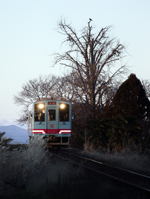 樽見線 by きなこや （ID：3084589） - 写真共有サイト:PHOTOHITO