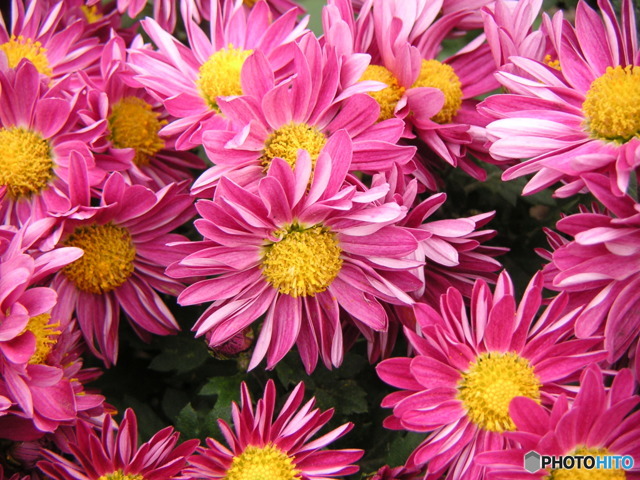 場所だけ by hisJ （ID：5062554） - 写真共有サイト:PHOTOHITO