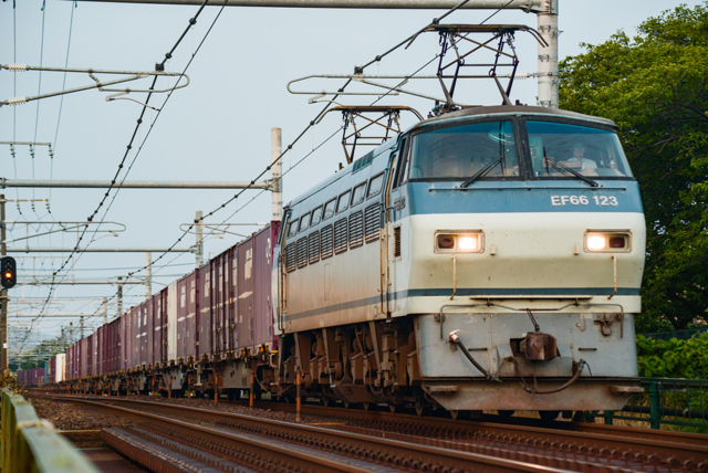 EF66 123 by ameru （ID：11854504） - 写真共有サイト:PHOTOHITO