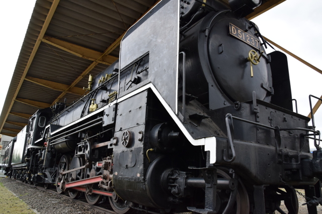 D51 237 by 501 （ID：5701190） - 写真共有サイト:PHOTOHITO