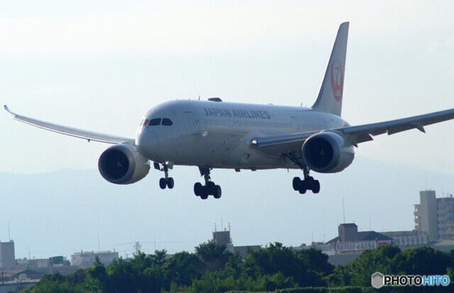 July morningⅡ Boeing 787-8 by 文香パパ3 （ID：11901001） - 写真共有サイト:PHOTOHITO