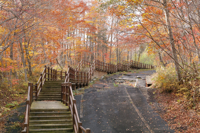 祭畤(まつるべ)大橋の紅葉3 by kawarage （ID：5031945） - 写真共有サイト:PHOTOHITO