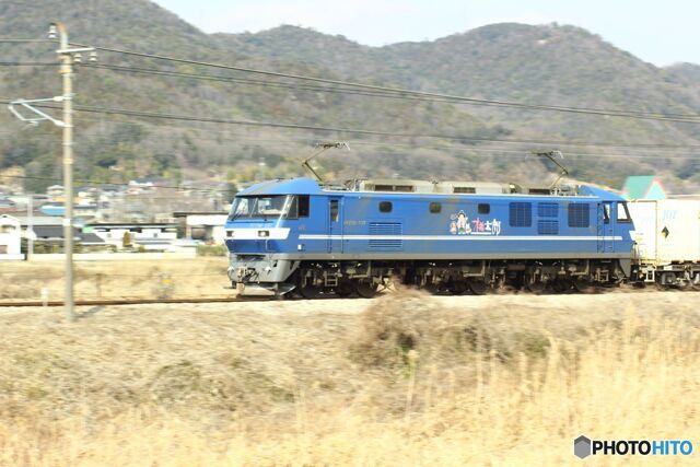 EF210-137 号機 by kakurenbo （ID：12923458） - 写真共有サイト:PHOTOHITO