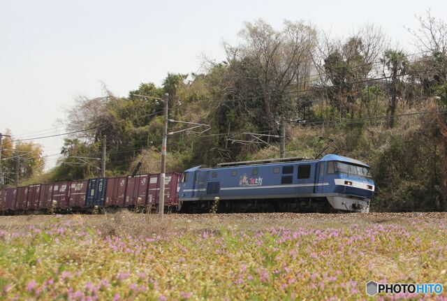 EF210-3 桃太郎 by kakurenbo （ID：12992551） - 写真共有サイト:PHOTOHITO