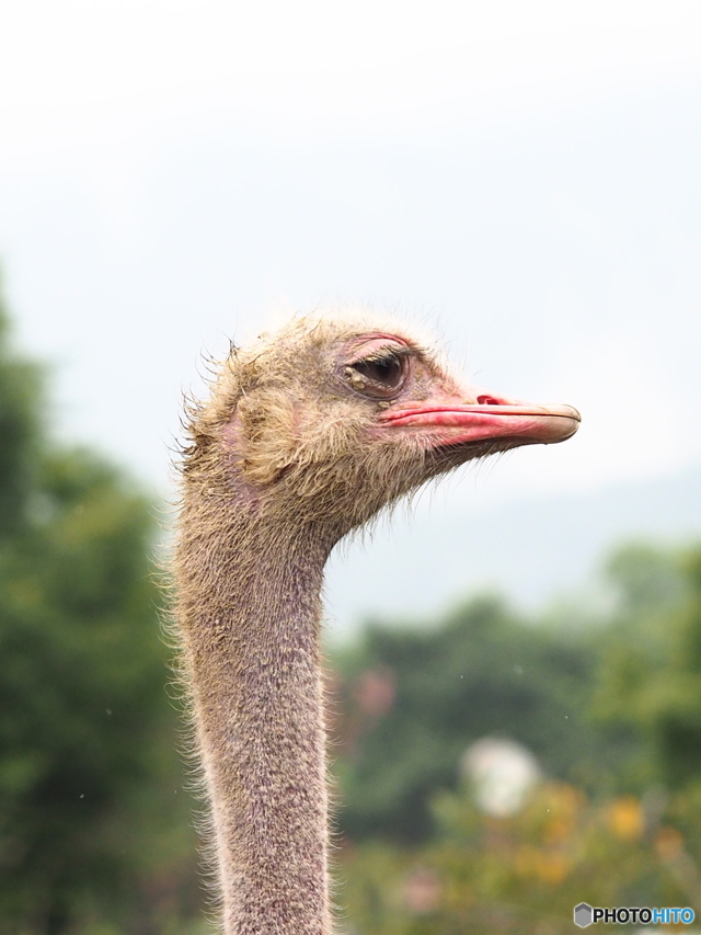 IMG_1404 by f2316 （ID：7168251） - 写真共有サイト:PHOTOHITO